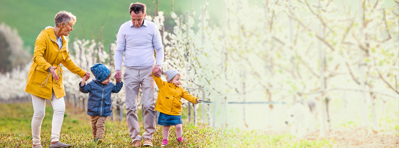 Medicare Advantage Plans | Essence Healthcare