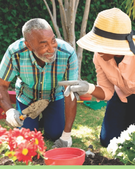 Healthy Living Hub - Essence Healthcare